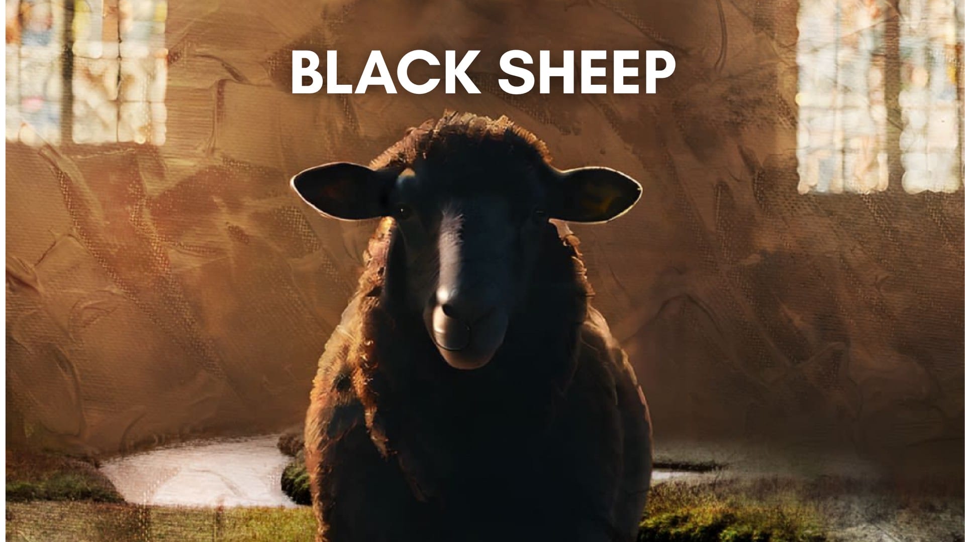 Black Sheep - New Wolsey Theatre